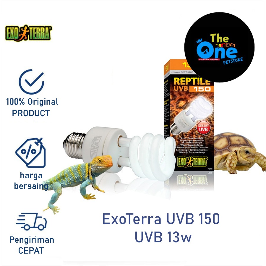 Jual Lampu Reptil EXOTERRA Reptile UVB 150 13Watt Lampu Kurakura Kadal Ular | Shopee Indonesia