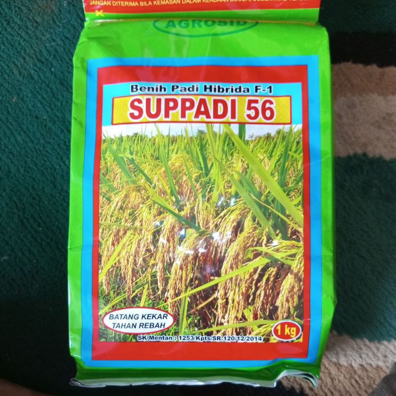 Jual Benih padi hibrida F 1 SUPADI 56 | Shopee Indonesia