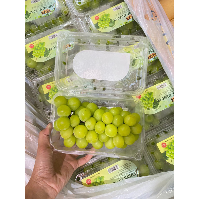 Jual anggur shine muscat import 500 gram kenyal manis | Shopee Indonesia