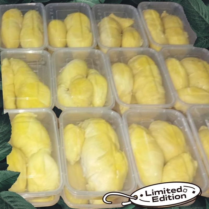 Jual Durian MONTONG PALU Premium- durian kupas frozen♦ daging durian utuh♦ daging durian tebal♦ ...