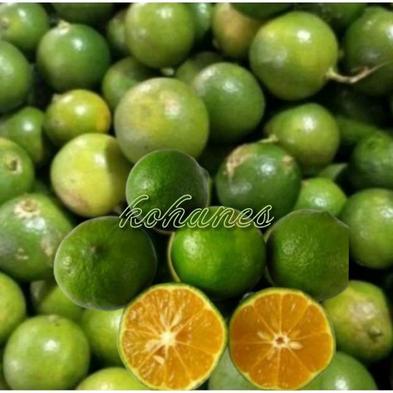 Jual Jeruk Sonkit Kalimantan fresh - jeruk kunci 500 gr | Shopee Indonesia