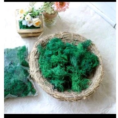 Jual GREEN MOSS RUMPUT SINTETIS ASLI LUMUT KERING untuk dekorasi ...
