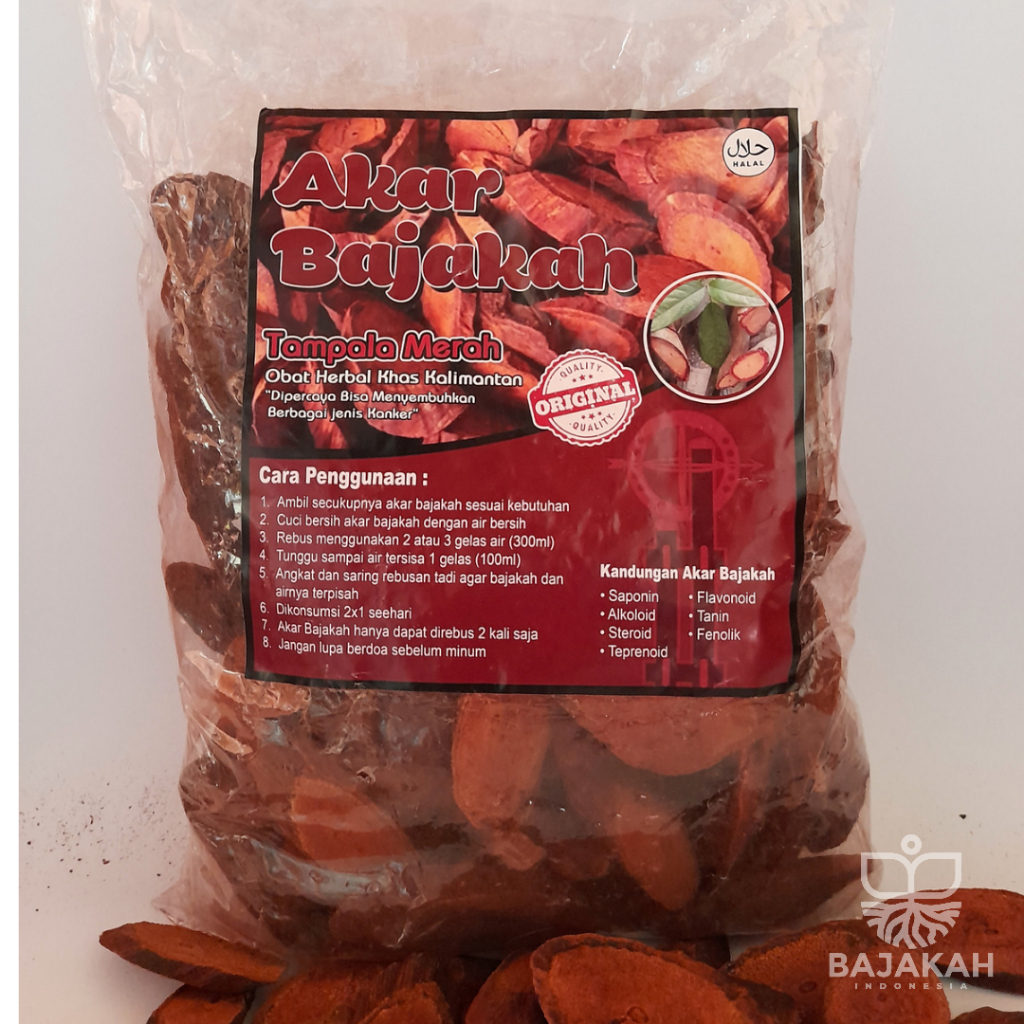 Jual Akar Kayu Bajakah Tampala Merah Asli Kalimantan | Shopee Indonesia
