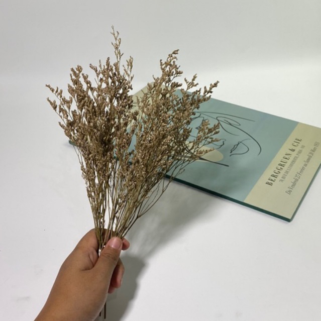 Jual Limonium Caspea / Dried Flower Caspea/ Bunga Caspea Kering ...