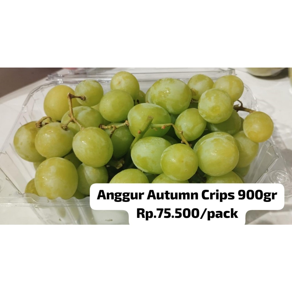 Jual ANGGUR AUTUMN CRIPS 900g | Shopee Indonesia
