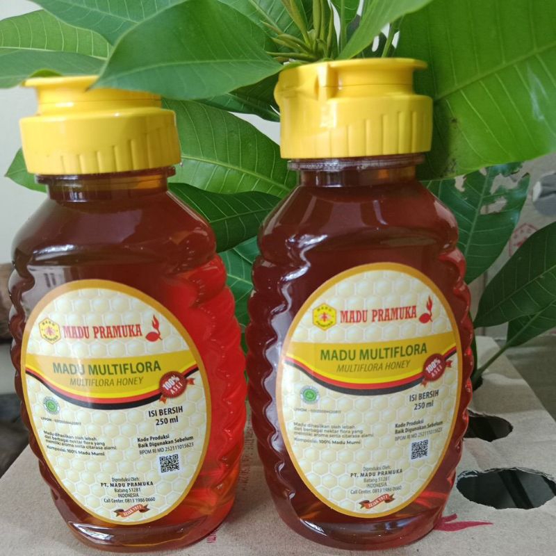 Jual Madu pramuka Multiflora Asli 250 ml | Shopee Indonesia