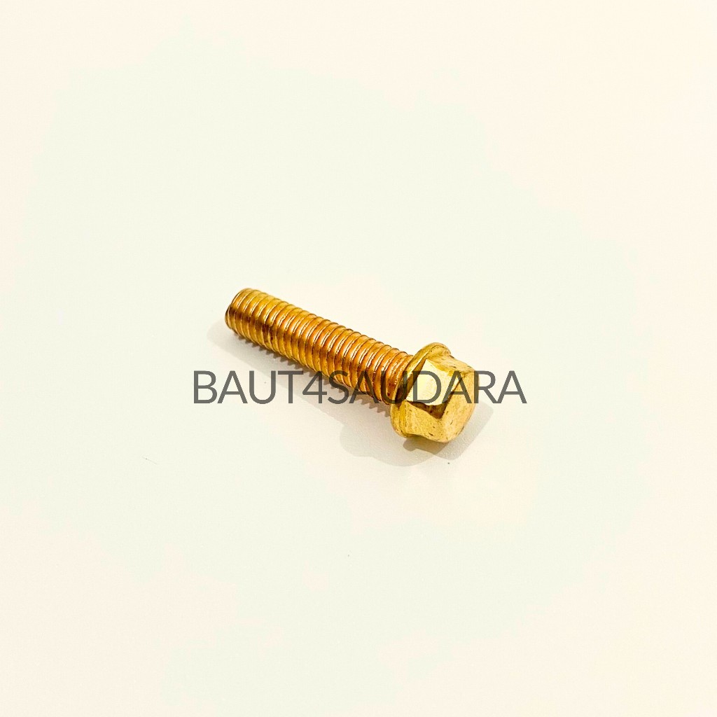 Jual Baut Flange Bolt 6x25 Kunci 8 GOLD | Shopee Indonesia