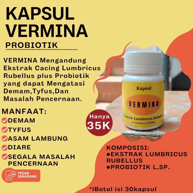 Jual KAPSUL VERMINA PROBIOTIK, Atasi ASAM LAMBUNG & DEMAM | Shopee ...