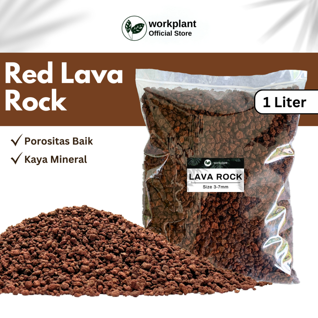 Jual Workplant - Red Lava Rock Pasir Malang Merah Untuk Media Tanam 1 ...