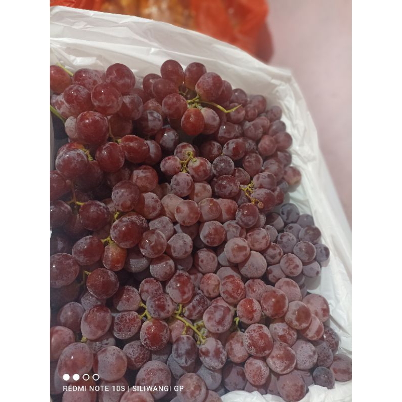 Jual anggur redglobe australia 700g | Shopee Indonesia