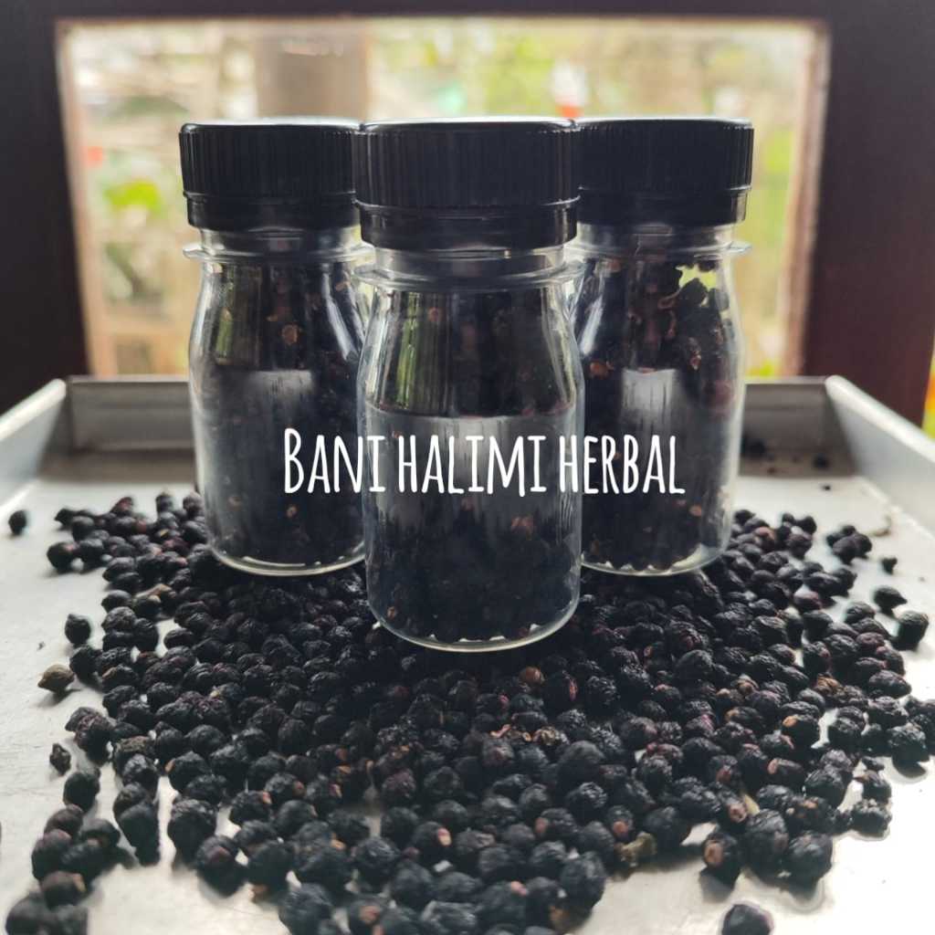 Jual Buah Angkung Kering Obat Stroke/Saraf kejepit & Darah Tinggi 250 ...