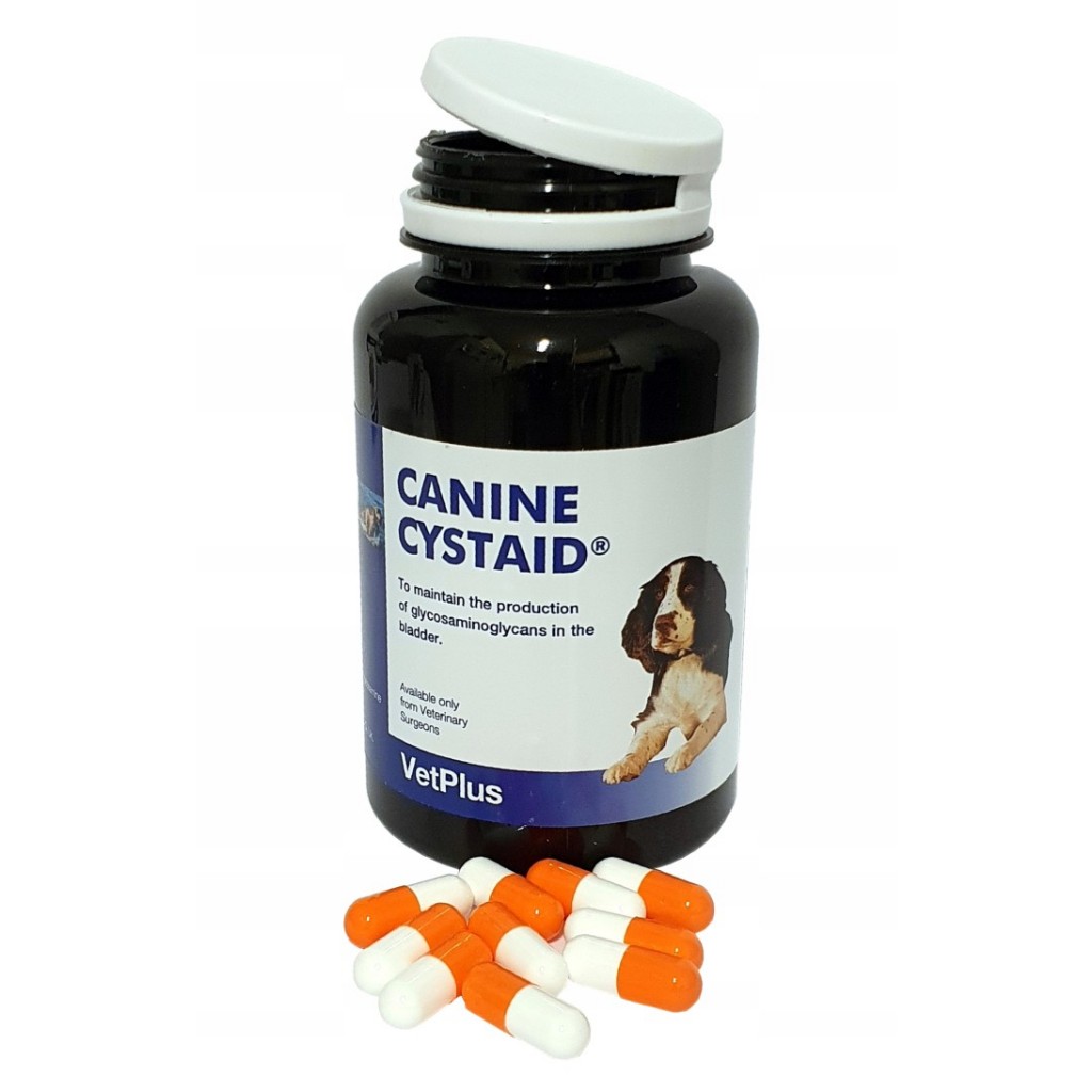 Jual CANINE CYSTAID ATAU CYSTAID DOG PER BOTOL | Shopee Indonesia