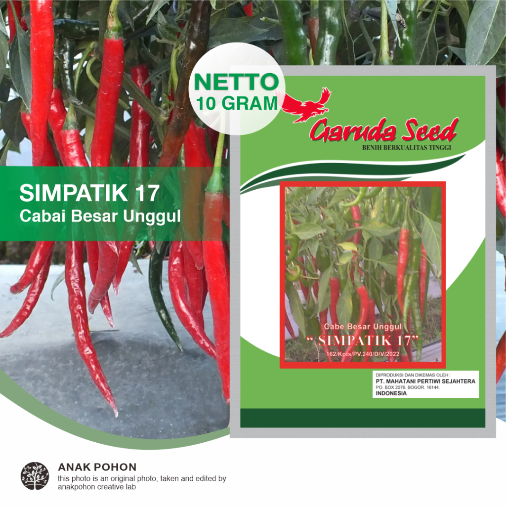 Jual (1 PACK) Benih Cabe Besar Unggul SIMPATIK 17 Cabai Teropong Buah ...