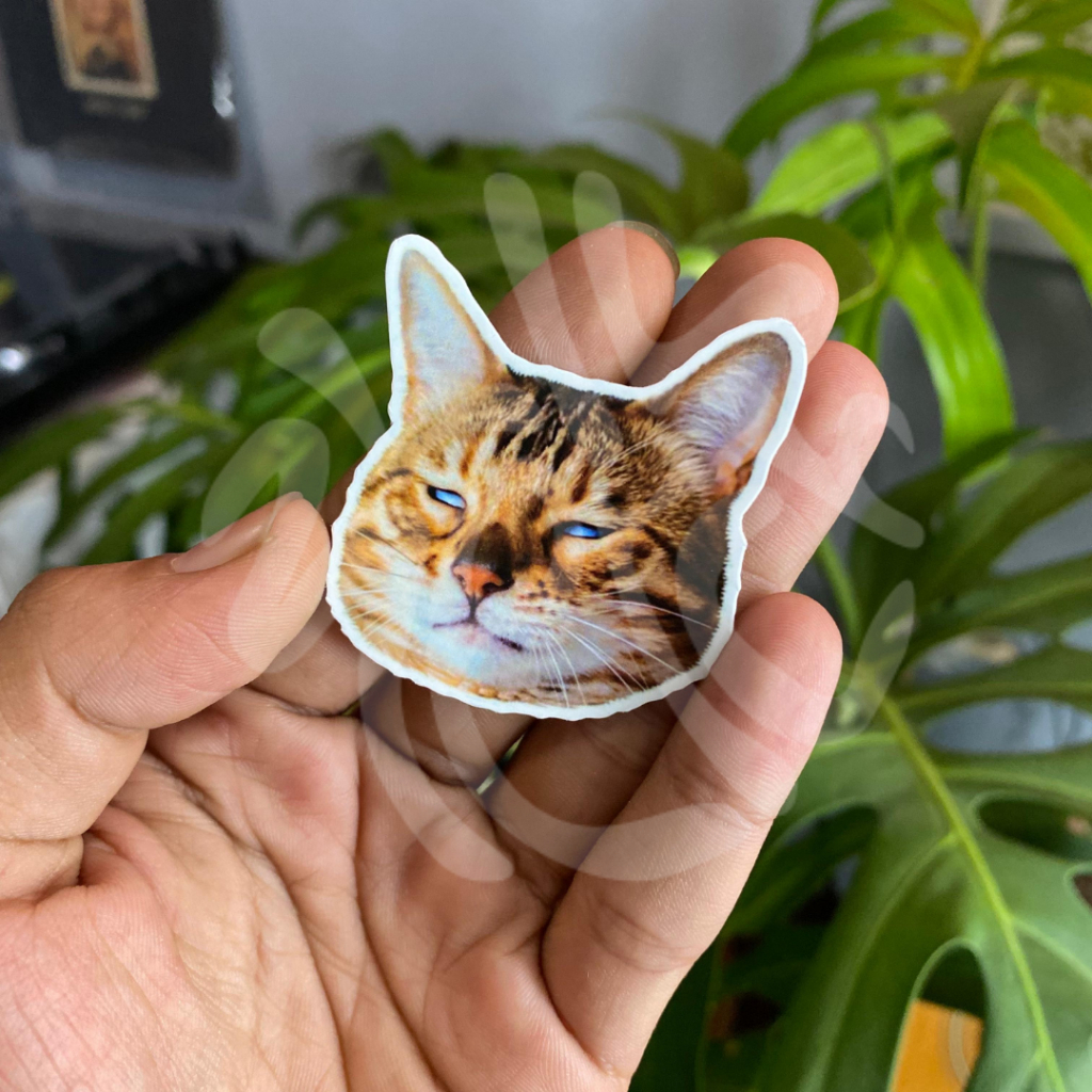Jual stiker kucing / aesthetic sticker / sticker tumblr / aesthetic ...