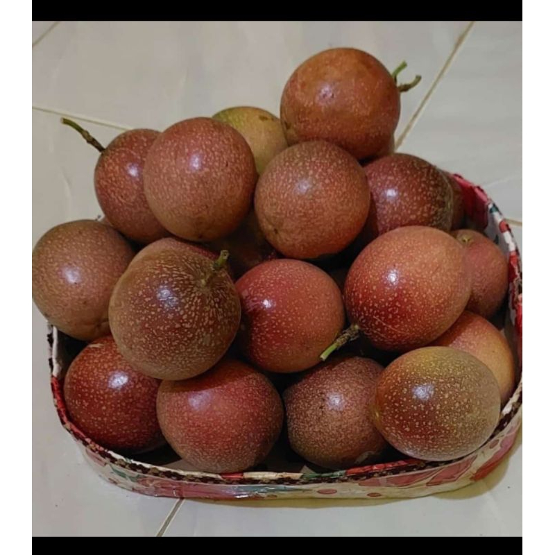 Jual BUAH MARKISA MERAH 1 Kg ASAM MANIS SEGAR | Shopee Indonesia