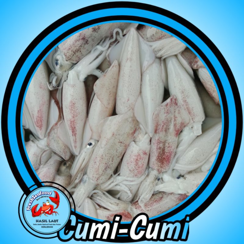 Jual CUMI CUMI SEDANG FRESH 1 kg | Shopee Indonesia