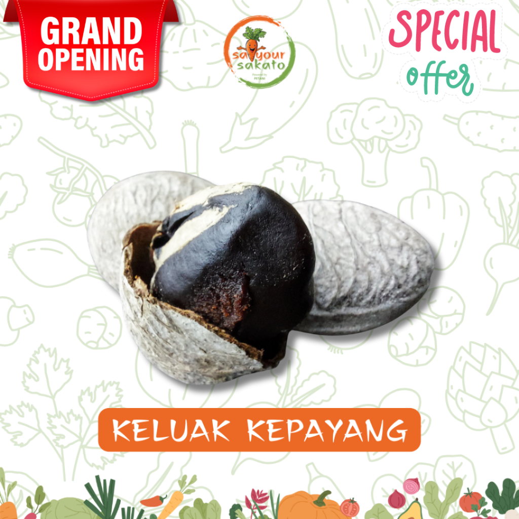 Jual Keluwek Kluwak Picung Kepayang Rawon 250gr Saiyour Sakato | Shopee ...