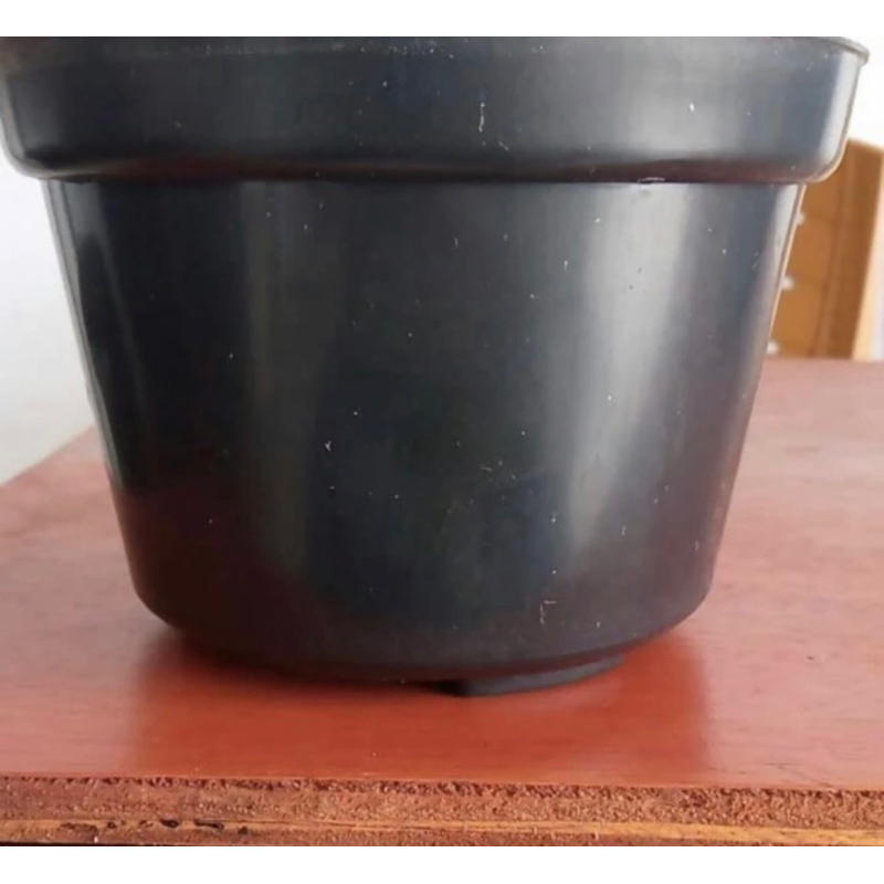 Jual pot bunga bibit plastik 40cm hitam tebal & kuat | Shopee Indonesia