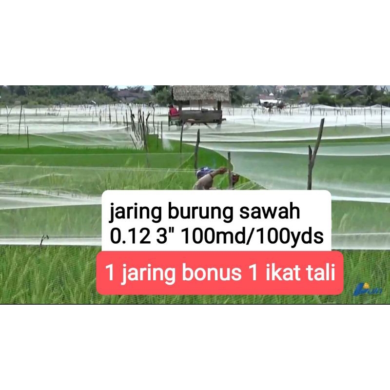 Jual JARING BURUNG SAWAH 7,5MX100YDS JARING PADI JARING EMPRIT JARING ...