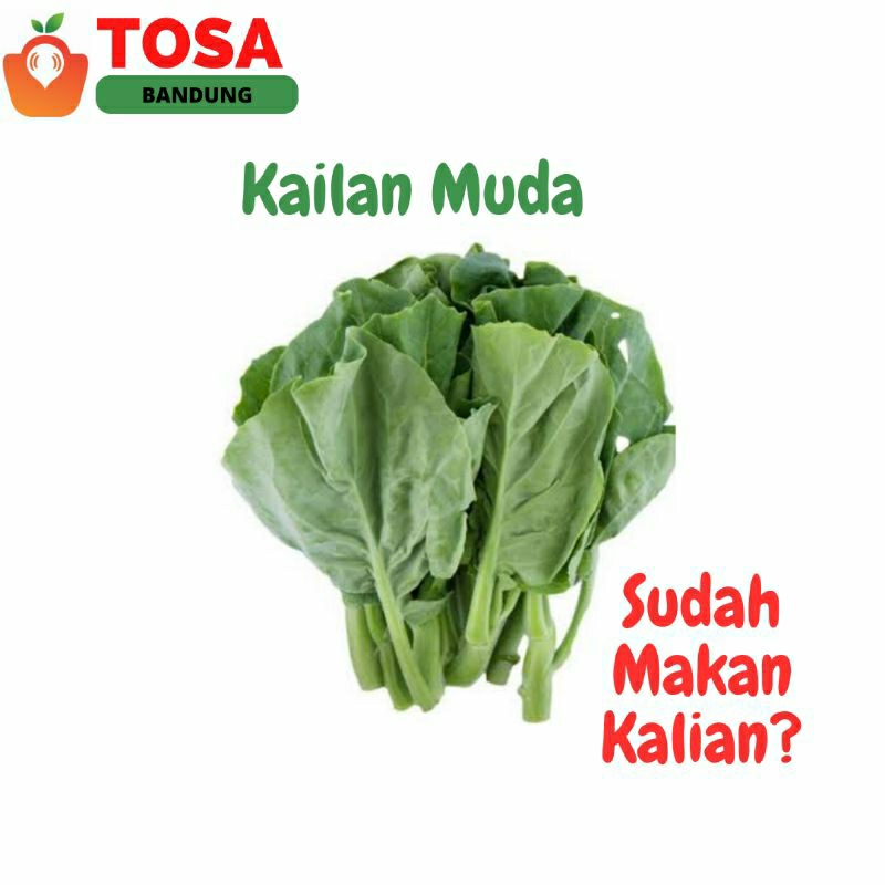 Jual kailan/daun kailan/sayur kailan | Shopee Indonesia