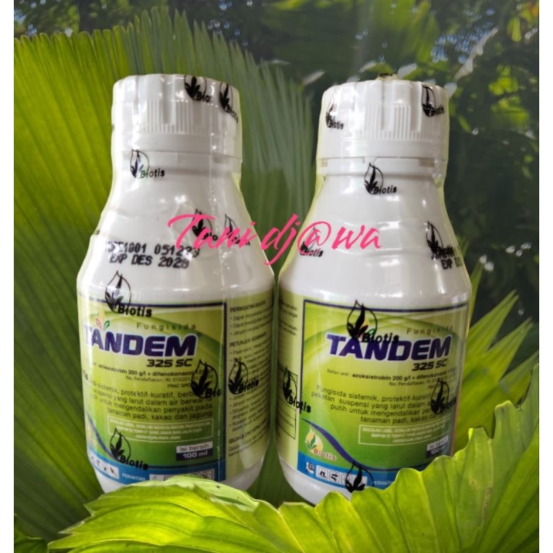 Jual FUNGISIDA TANDEM 100 ml | Shopee Indonesia