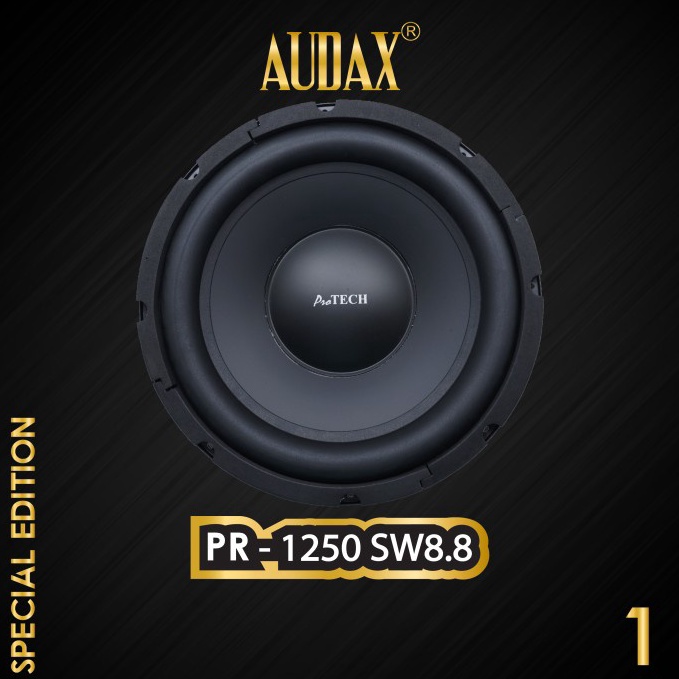 Jual LANGSUNG KIRIM Audax Speaker Pasif 12 Pro Tech PR125 SW88 Sub ...
