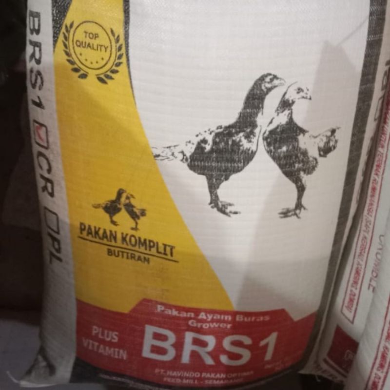 Jual Pakan Ayam buras grower BRS1 Havindo Repack 10 kg | Shopee Indonesia