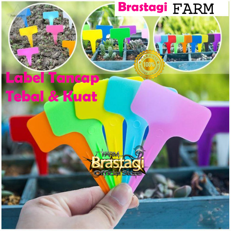 Jual Label Tanaman - Name Tag Model T Tebal - Penanda Nama Tancap untuk Tanaman Hias / Bunga ...