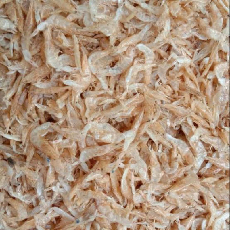 Jual Udang Rebon kering tawar 100gr/500gr Termurah | Shopee Indonesia