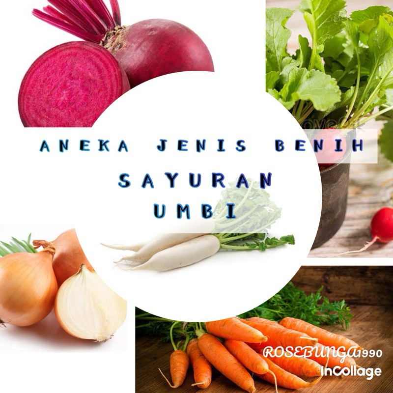 Jual LENGKAP- Aneka Benih SAYURAN UMBI-UMBIAN, Wortel, bawang merah ...