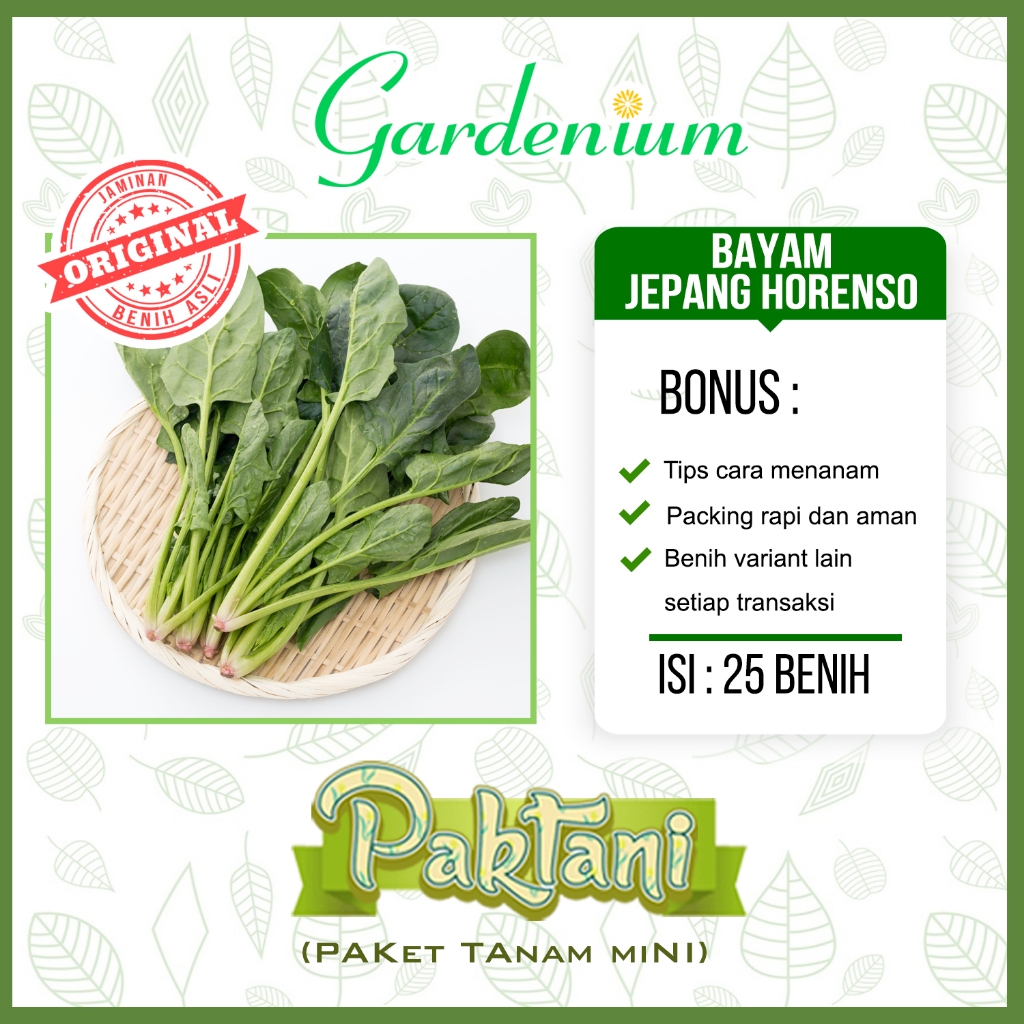 Jual 25 Benih Bayam Jepang Horenso Unggul Paktani | Shopee Indonesia