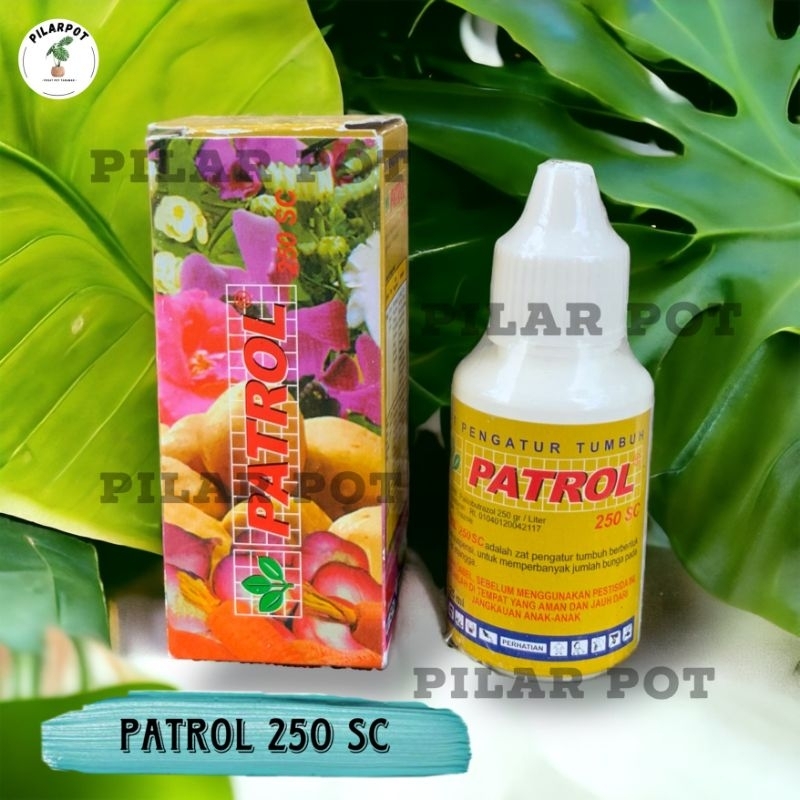 Jual PATROL 250 SC 25 ML ZPT ZAT PENGATUR TUMBUH - PATROL 25 ML KECIL ...