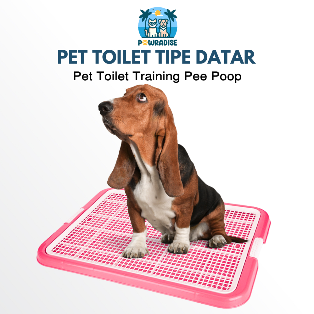 Jual Pet Toilet Training Pee Poop - Training Potty Pad Pee Poop ...