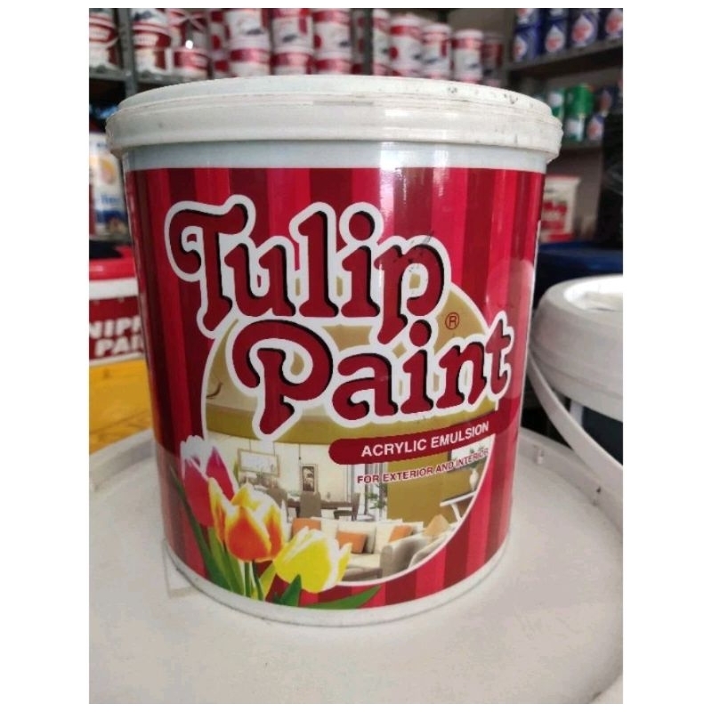 Jual cat tembok anti bakteri tulip wall paint / cat air putih / cat ...