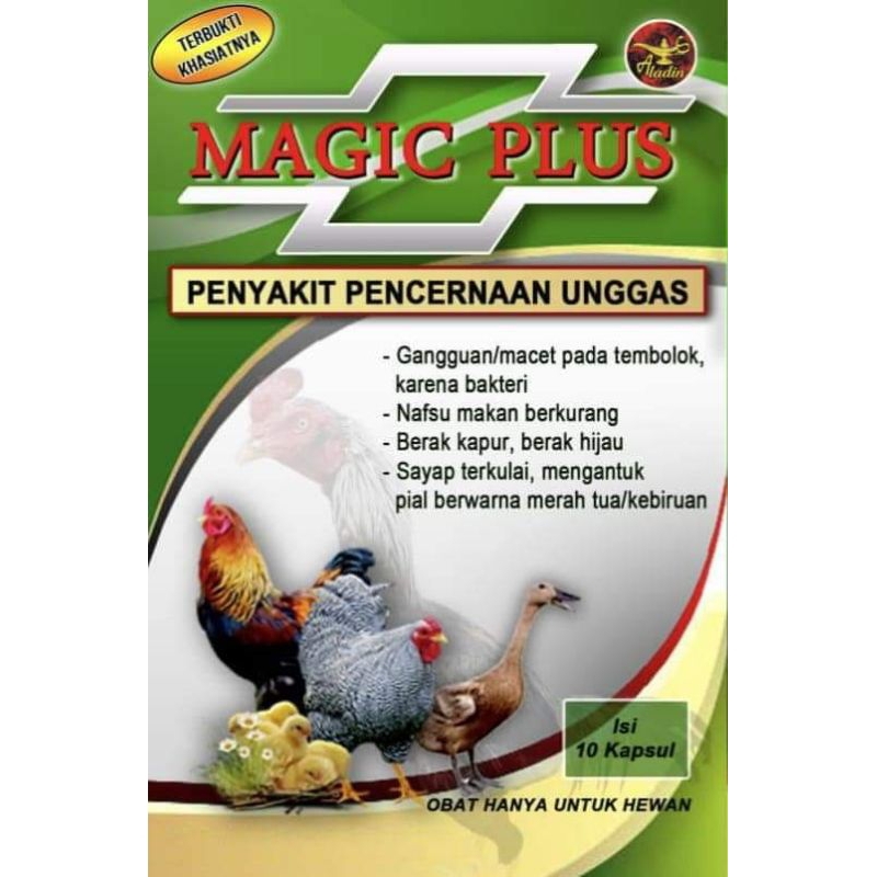 Jual MAGIC PLUS ALADIN OBAT PENYAKIT PENCERNAAN BERAK KAPUR HIJAU ...