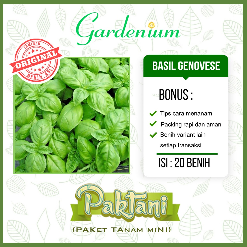 Jual 20 Benih Basil Genovese Tanaman Sayuran Herbal Paktani | Shopee ...