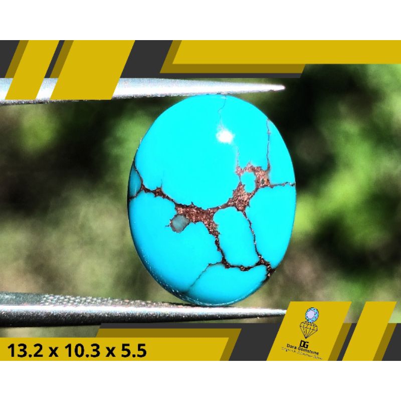 Jual Pirus Mesir Original 100% | Shopee Indonesia