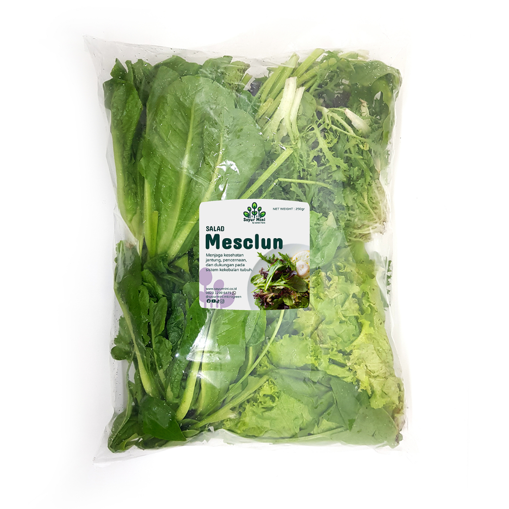 Jual SAYUR MINI Salad Mesclun 250gr - Salad Mix - 7 Mix - Fresh Cut ...