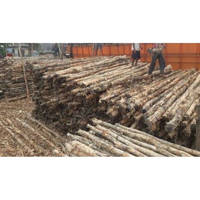 Jual Kayu Gelam Dolken Kalimantan Sumatera Panjang 4 mtr | Shopee Indonesia