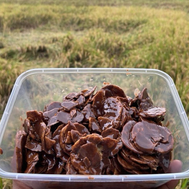 Jual kripik pisang lumer 500gram bervarian rasa coklat mactha taro ...