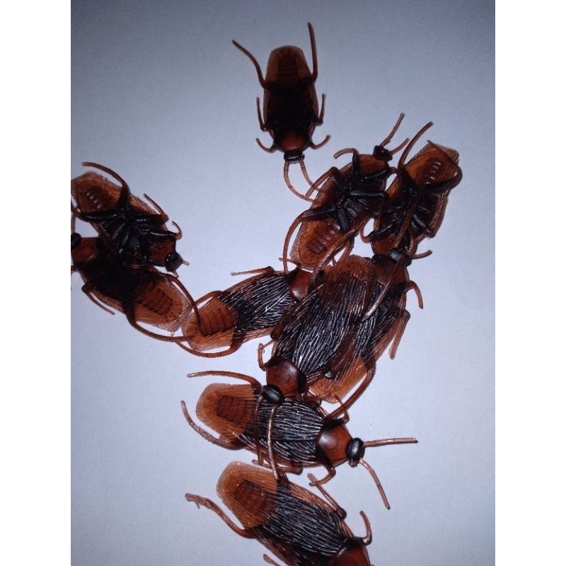 Jual 1buah kecoa tiruan umpan gabus,tomang | Shopee Indonesia