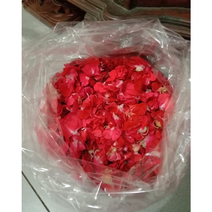 Jual First Surprise Bunga Tabur Pihong Merah Bunga Pihong Merah ...