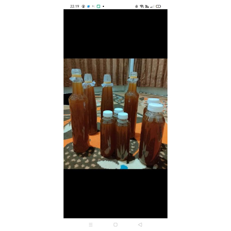 Jual Madu Hutan Liar Asli Murni Lebah Besar Apis Dorsata Odeng Original ...