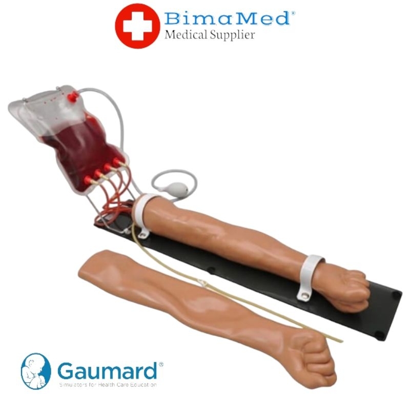 Jual Multipurpose Venous Training Arm (S401) | Shopee Indonesia