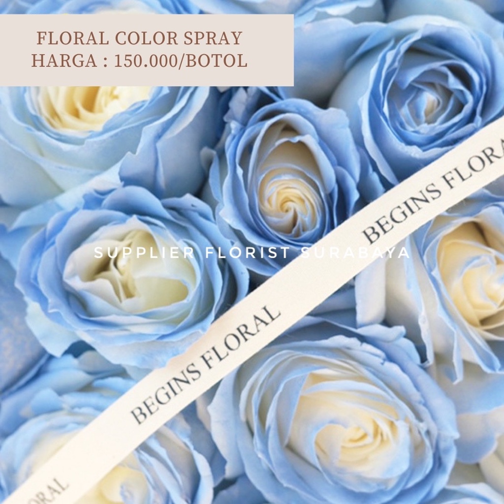 Jual FLORAL COLOR SPRAY CEPAT KERING PENGUBAH WARNA BUNGA ASLI ...