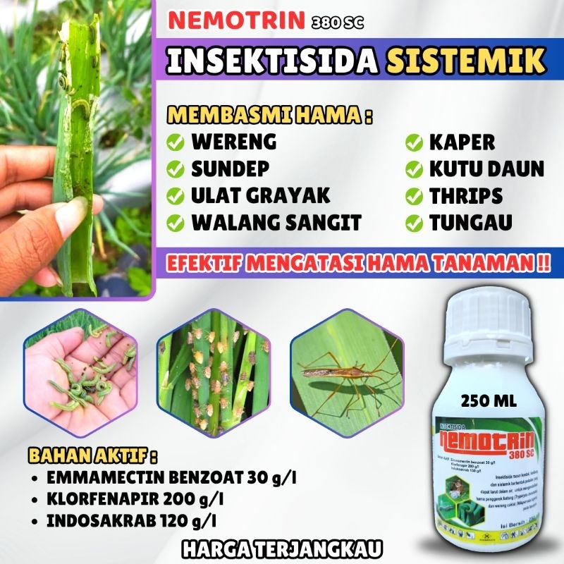 Jual 𝗔𝗠𝗣𝗨𝗛 !! 𝗜𝗡𝗦𝗘𝗞𝗧𝗜𝗦𝗜𝗗𝗔 𝗦𝗜𝗦𝗧𝗘𝗠𝗜𝗞 Nemotrin Pembasmi Ulat | Shopee ...