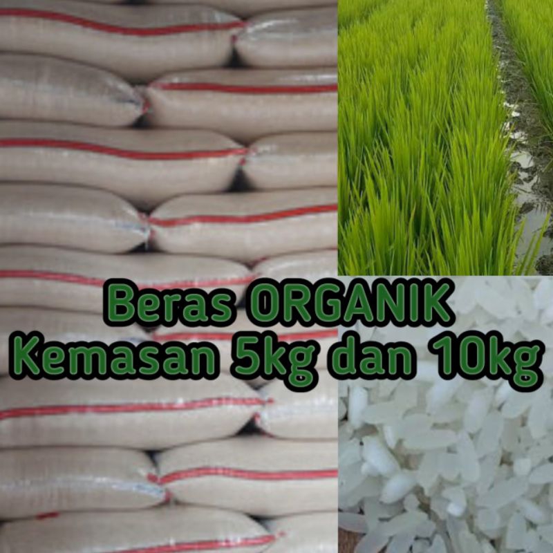 Jual Beras Organik 10Kg dan 5Kg | Shopee Indonesia