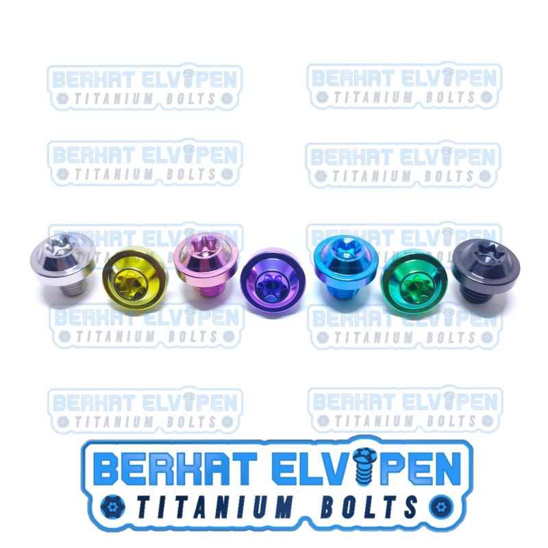 Jual Baut Titanium BIG HEAD M10x15 Drat 14 Panjang 15mm 1,5cm | Shopee ...