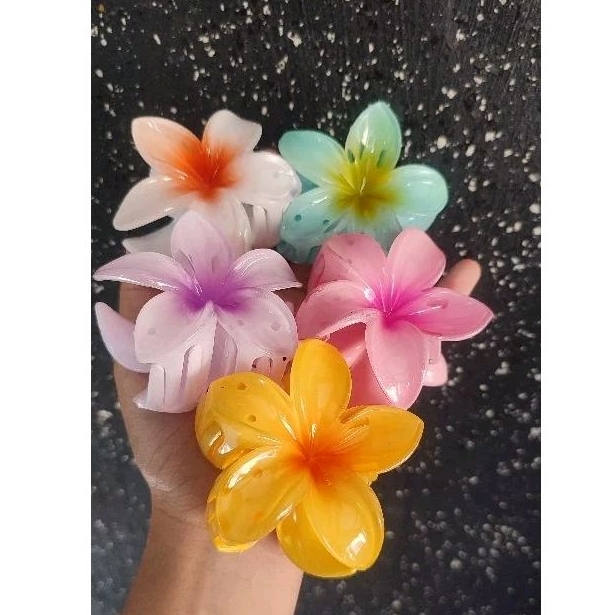 Jual Jepit Bunga Kamboja | Shopee Indonesia