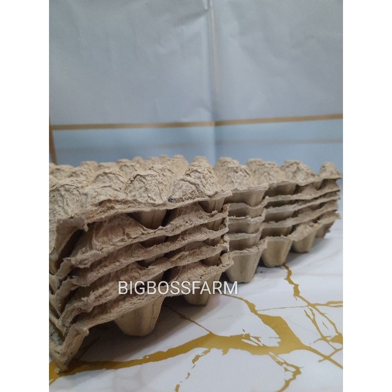 Jual EGGTRAY KERTAS ISI 10 PCS / TEMPAT TELUR /WADAH TELUR/ALAT TERNAK ...